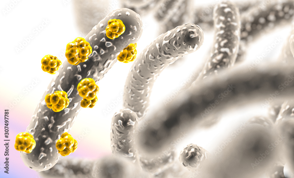 Microbacterias y organismos bacterianos. Fondo de la biología y la ...