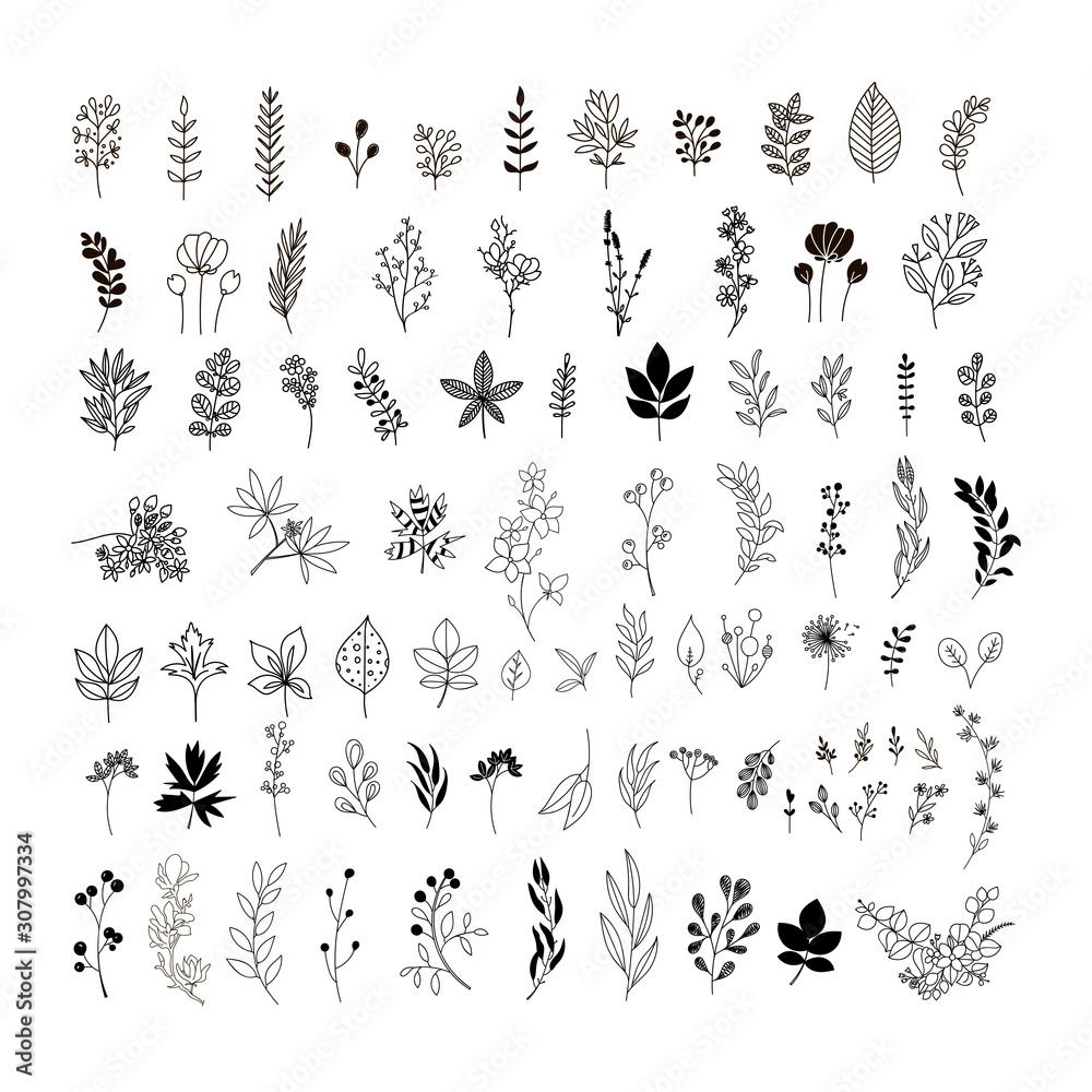 Handdrawn leaves and flowers. Floral clipart. Leaf sketches. Botanical ...