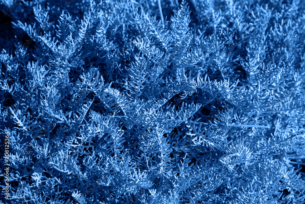 Blue leaves textured background. Color of the year concept. Color of ...