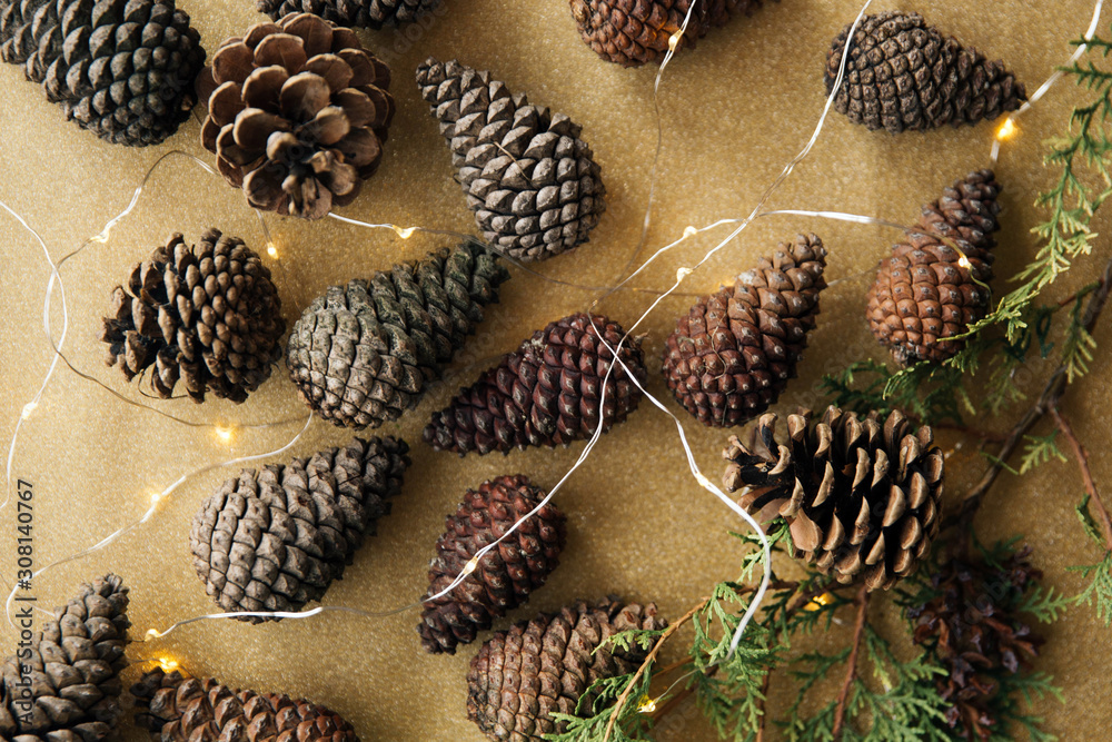Pine cone Christmas theme. Still life with conifer cone and lights on ...