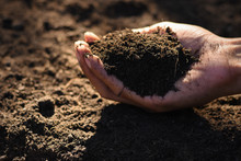 Digging In The Dirt Free Stock Photo - Public Domain Pictures