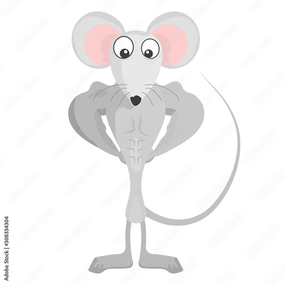 Cartoon white rat - bodybuilder. Strong mouse. Rat athlete. Vector ...