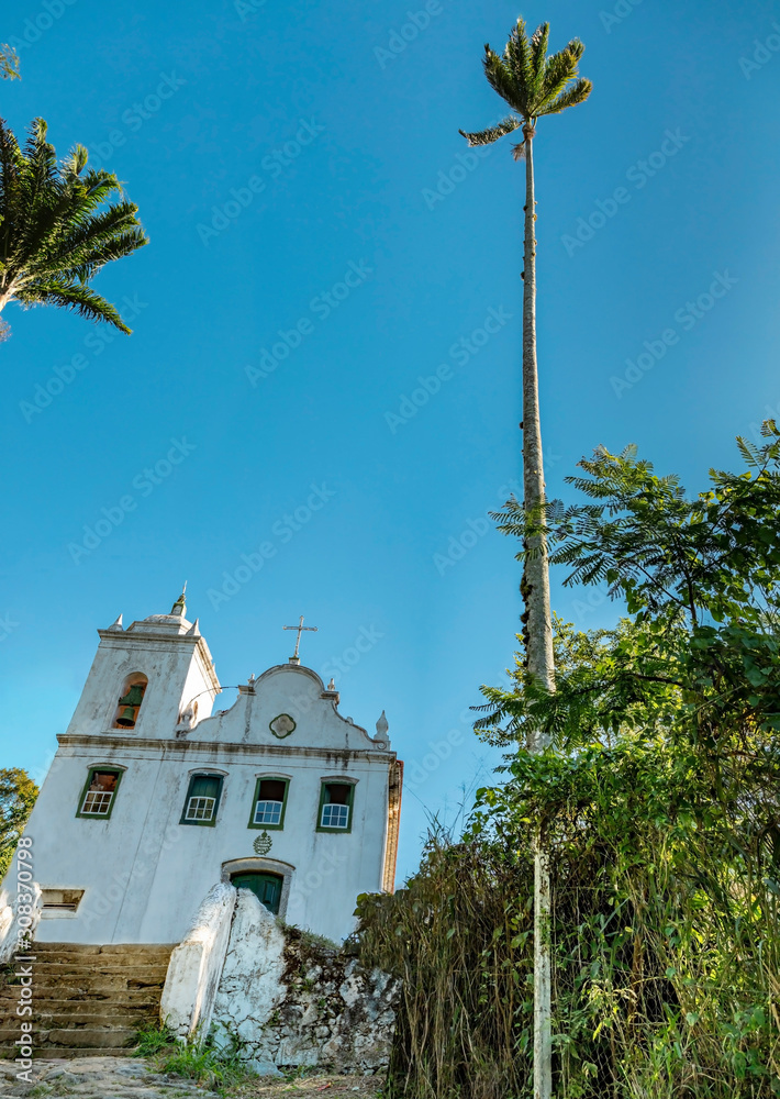 Foto de Stock Famous giant palm tree in Santana parish and Catholic ...