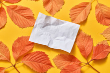 Dry Crumpled Tree Leaves In Autumn Free Stock Photo - Public Domain ...