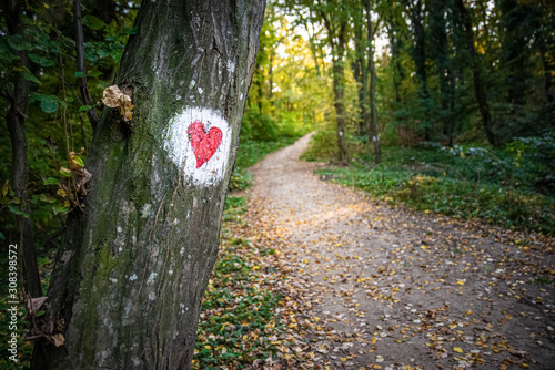 Heart trail Images - Search Images on Everypixel