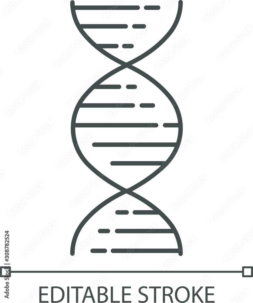 DNA double helix linear icon. Deoxyribonucleic, nucleic acid structure ...