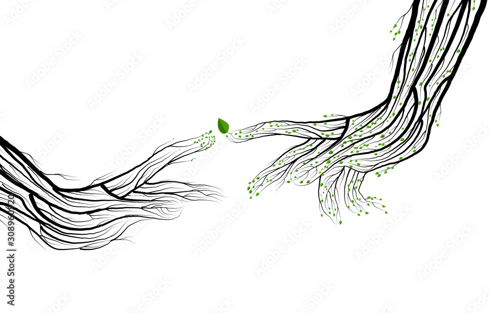 handtwo human hand looks like tree branches on the wthie background ...