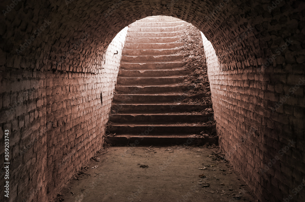 steps on the stairs in a dark dungeon Stock Photo | Adobe Stock
