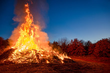 Roaring Wood Camp Fire Free Stock Photo - Public Domain Pictures