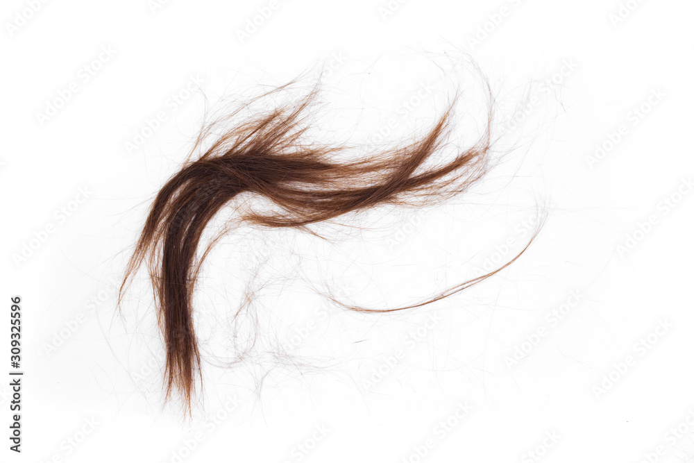 hair cut off on the floor isolate on white background. Stock Photo ...