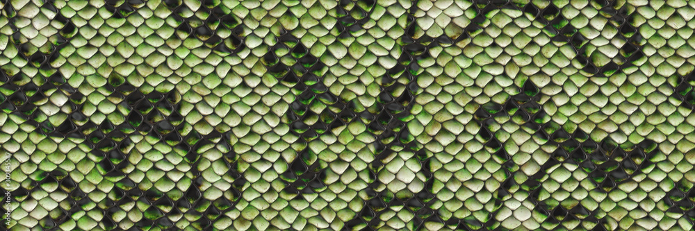Skin pattern seamless- texture illustration Stock Illustration | Adobe ...