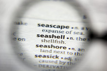 Sea Shells Dictionary Page Free Stock Photo - Public Domain Pictures