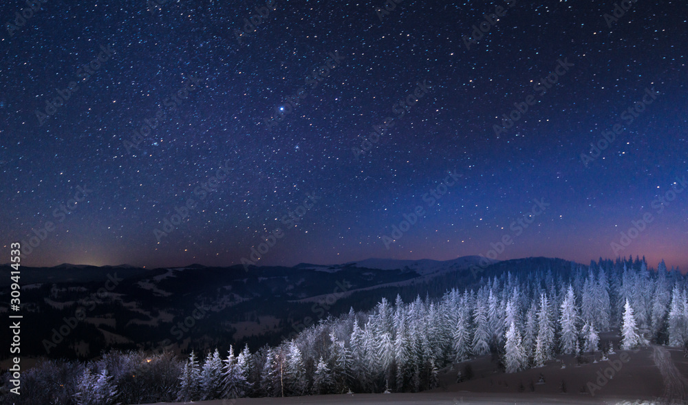 Mesmerizing night landscape snowy fir trees Stock Photo | Adobe Stock