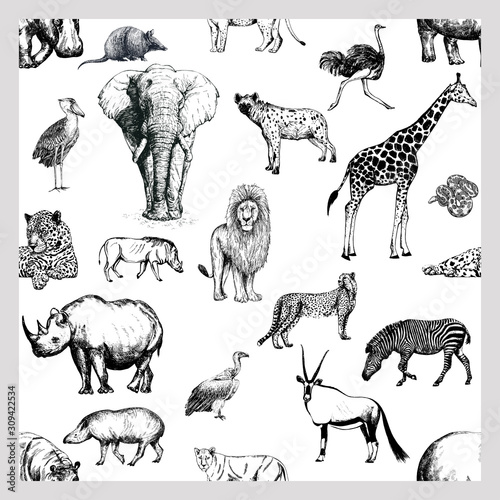 Seamless pattern of hand drawn sketch style African animals isolated on ...