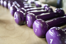 Purple Weights Free Stock Photo - Public Domain Pictures