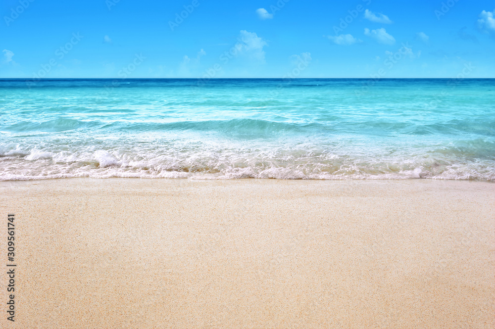 Summer beach backgrounds store