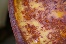 Tomato Rust Free Stock Photo - Public Domain Pictures