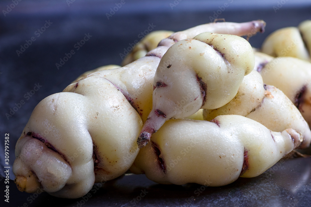 MASHUA 'White' (Tropaeolum tuberosum)Mashua is a tuber crop native to ...