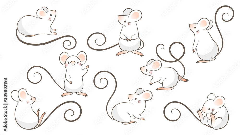 Set of hand drawn rats, mouse in different poses on white background ...