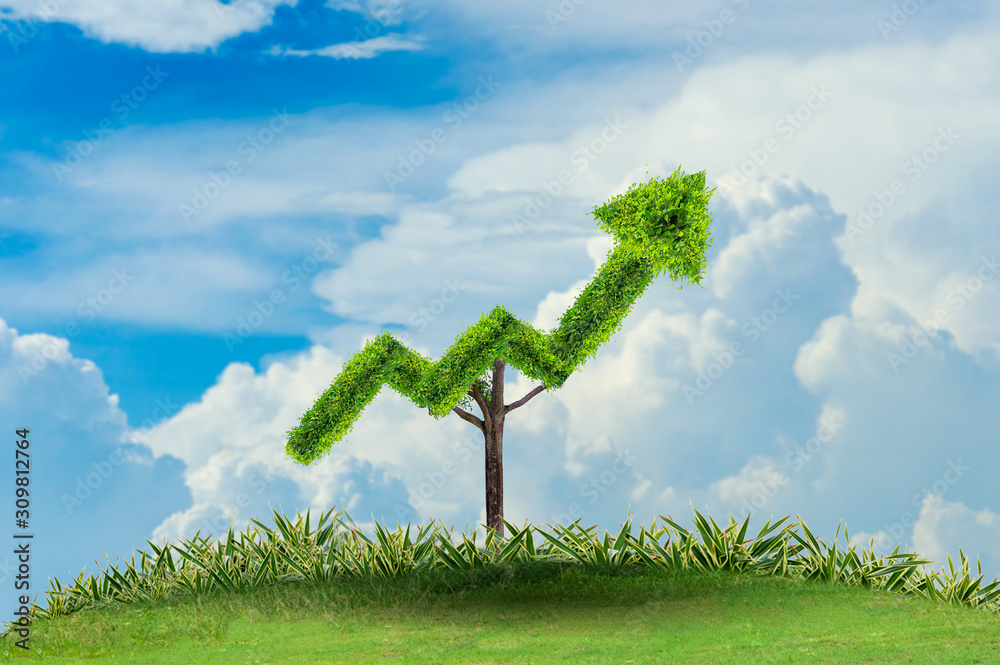 growth business. The tree grows into a shape, pointing up the concepts ...