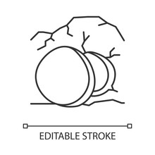 Tomb Outlines Inside Shrine Free Stock Photo - Public Domain Pictures