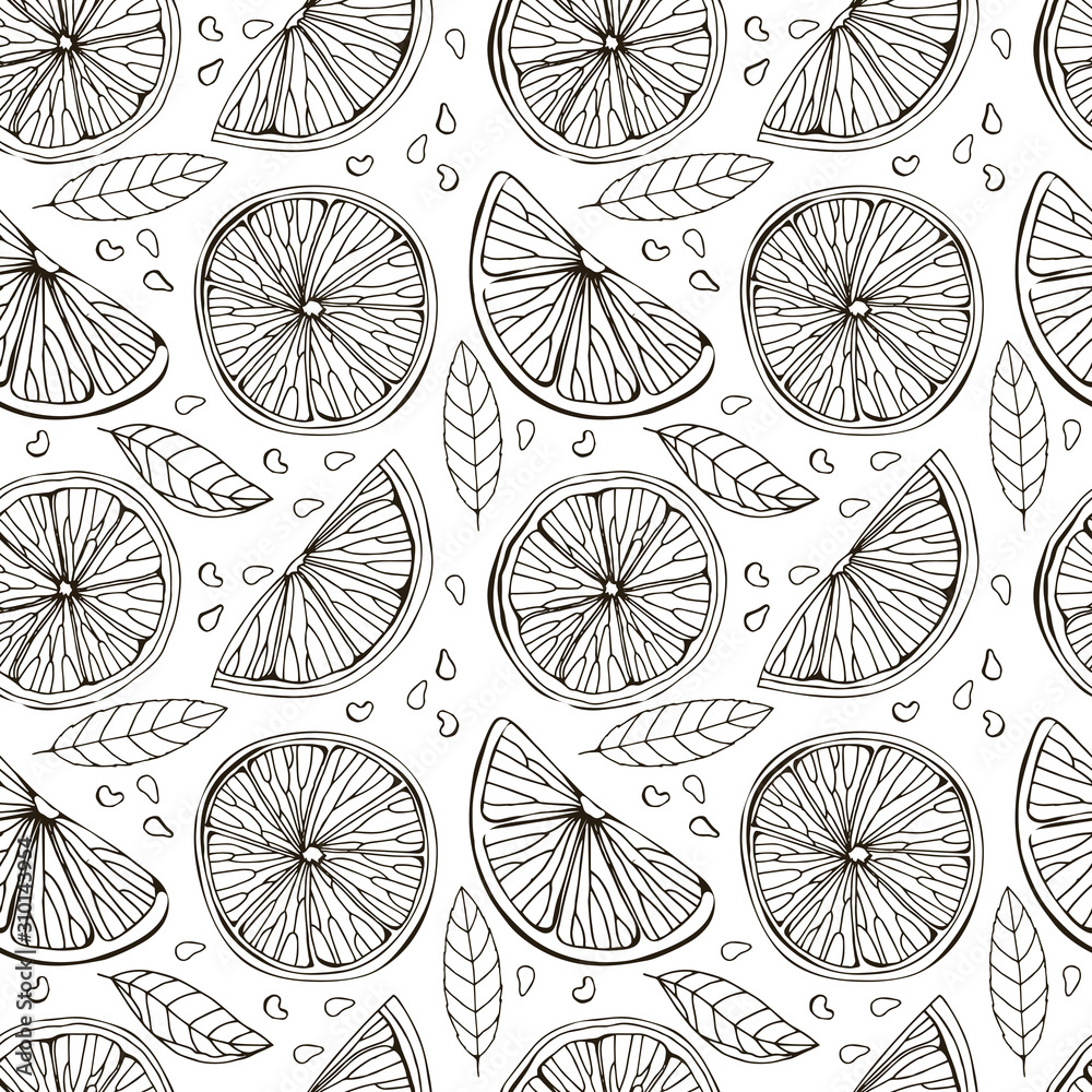 Seamless pattern of lemon, itrus, lime. Isolated on white background ...
