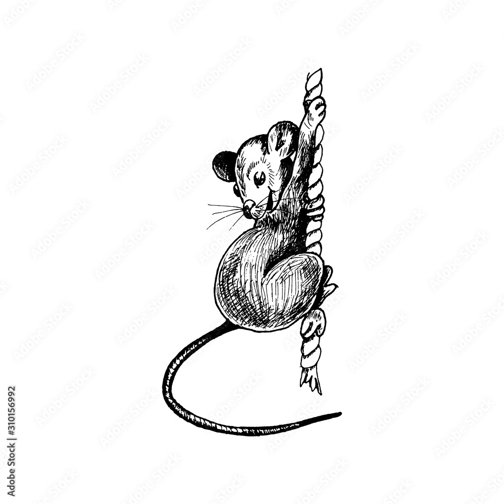 Rat with Long Tail as New Year Symbol Climbing Up the Rope Vector ...