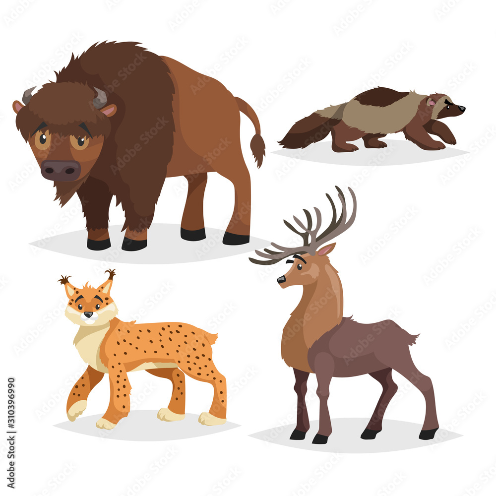 North America wild animals set. Collection of forest animals. Bison ...