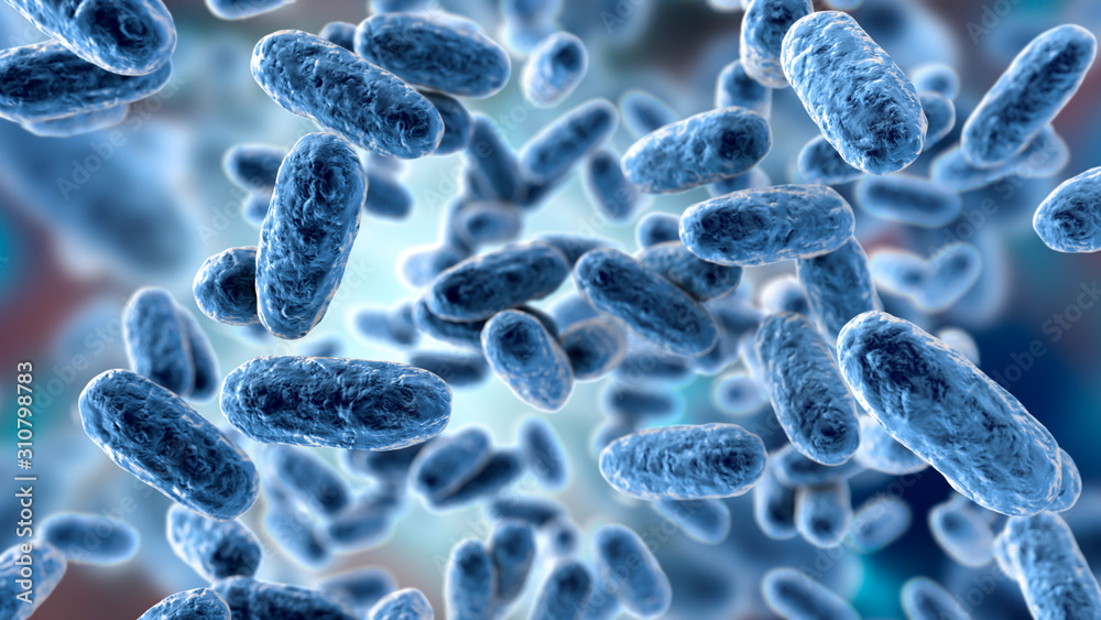 Bacteria Bordetella pertussis, 3D illustration. Gram-negative ...