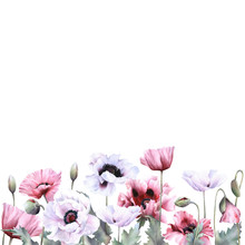 Vintage Poppy Flower Boarder Free Stock Photo - Public Domain Pictures