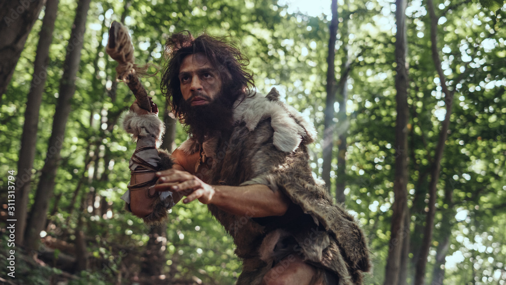 Portrait of Primeval Caveman Wearing Animal Skin and Fur Hunting with a ...