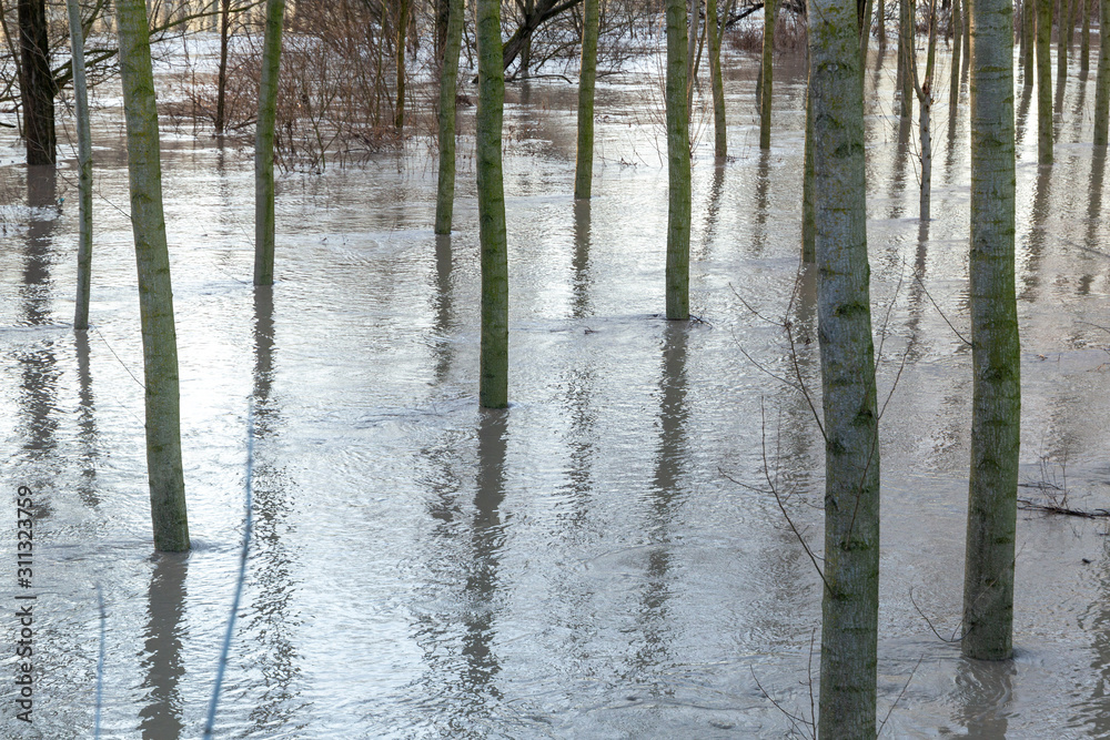 flood overflowing rivers hydrological failure modena italy Stock Photo ...