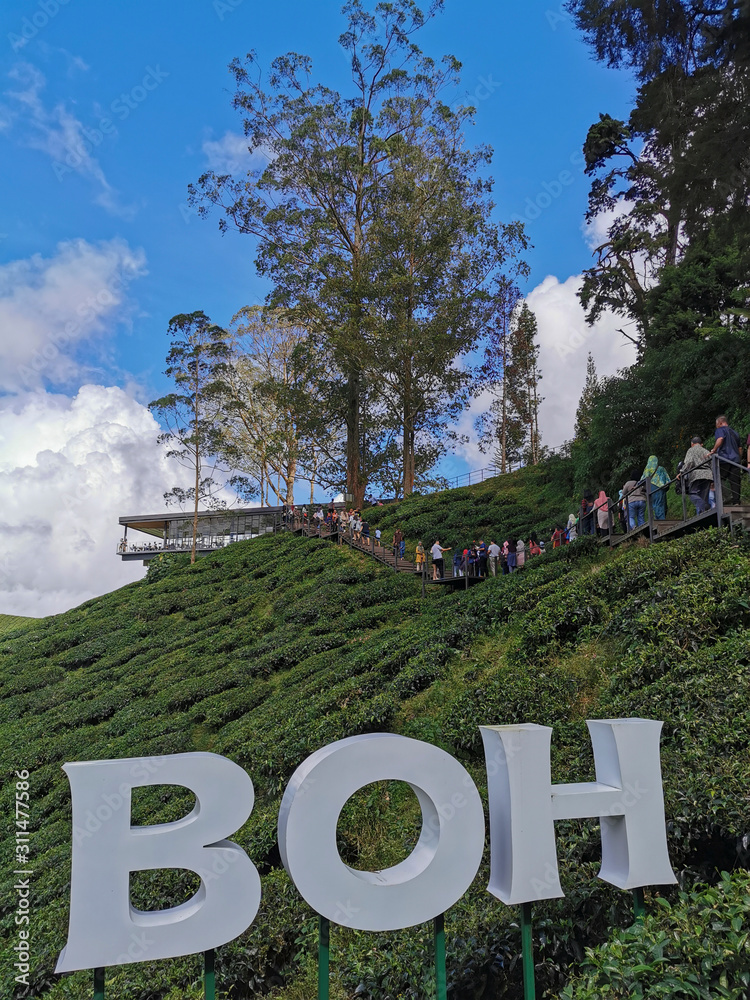 Boh empire tea plantation signage in Cameron Highlands, Pahang ...