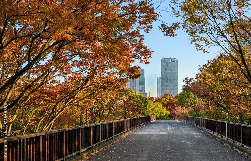 Autumn landscape of pedestrian bridge at Yoyogi Park Koen in Shibuya ...