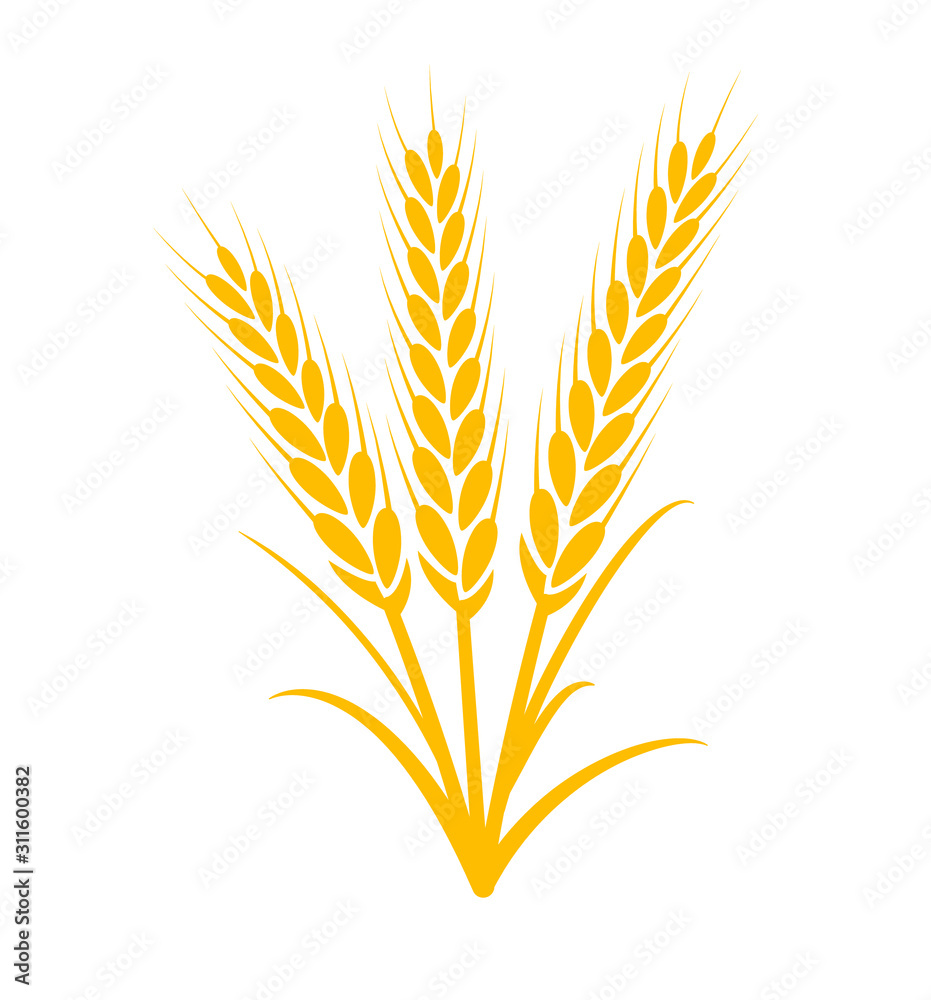 wheat vektor