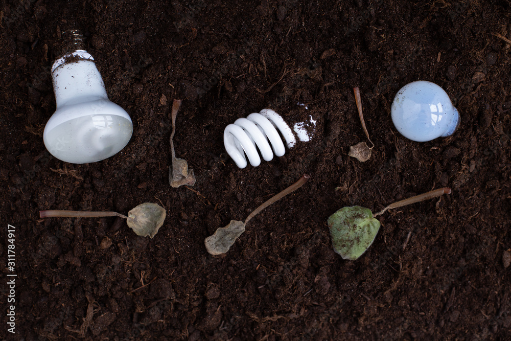 Light bulbs of different types in the soil with wilted dying plants ...