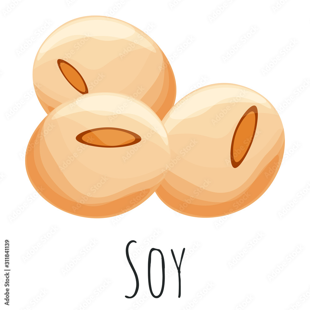 cartoon soybean