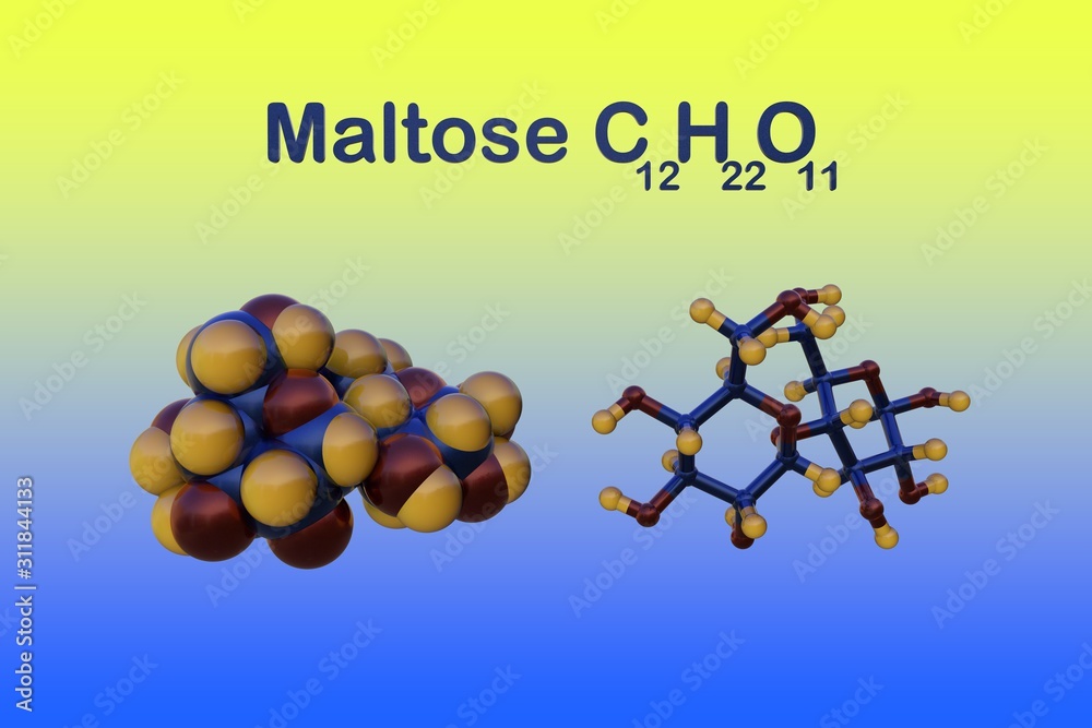 Structural chemical formula and molecular model of maltose. It is used ...