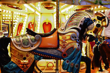 Carousel Horse Head Free Stock Photo - Public Domain Pictures