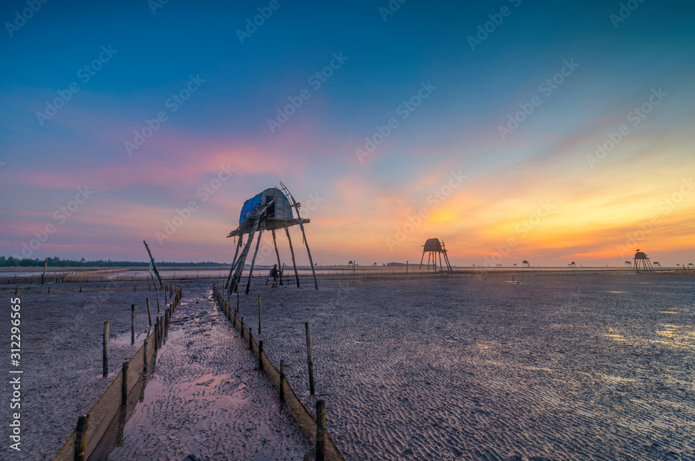 Morning in the Dong Chau Beach, Tien hai district, Thai Binh province ...