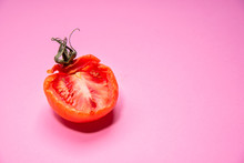 Rotten Tomatoes Free Stock Photo - Public Domain Pictures