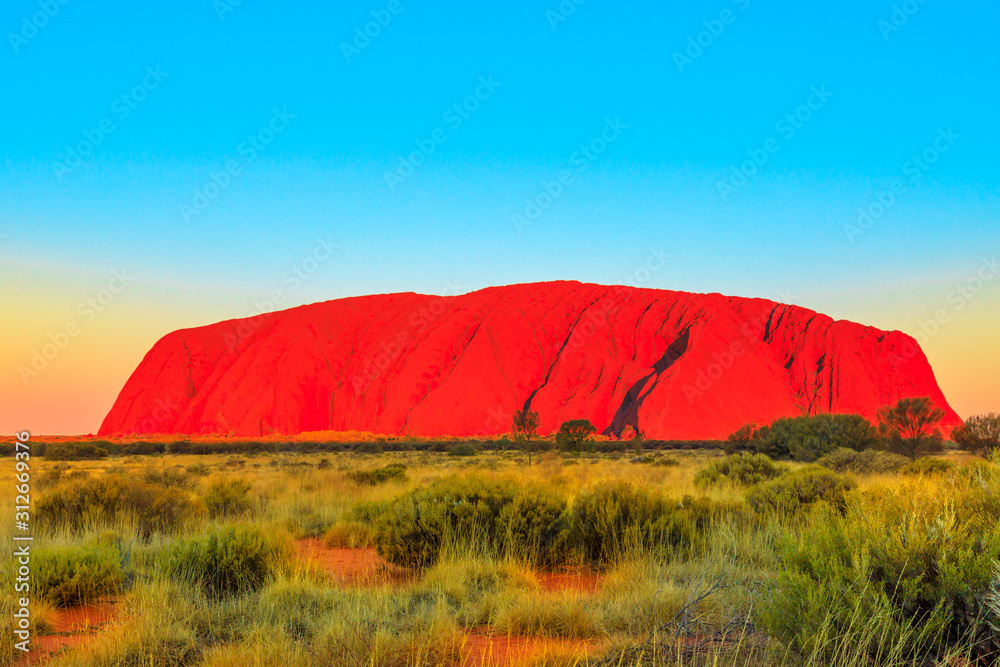 The red color of Uluru or Ayers Rock at sunset, the huge sandstone ...