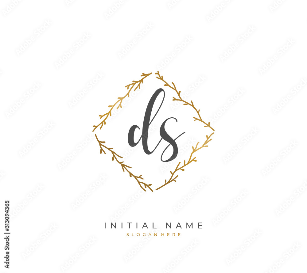 Handwritten letter D S DS for identity and logo. Vector logo template ...