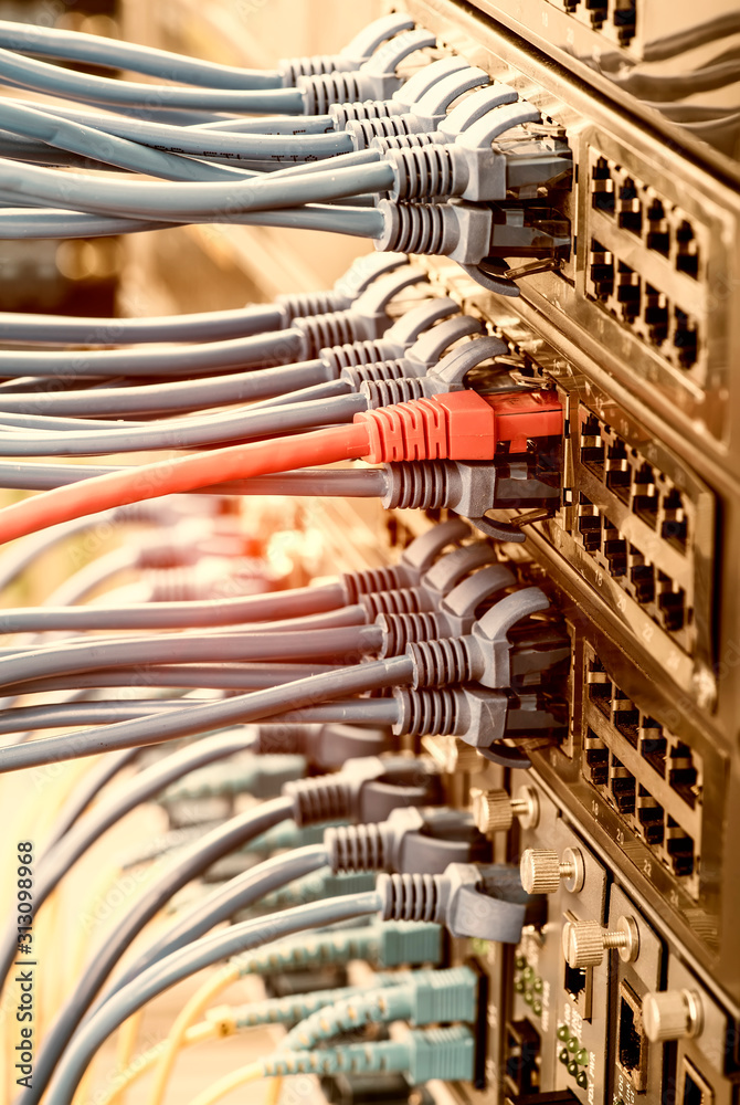 Server rack with blue and red internet patch cord cables connected to ...