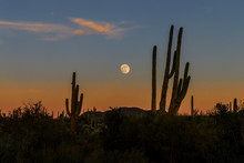 Moon Over Arizona Free Stock Photo - Public Domain Pictures