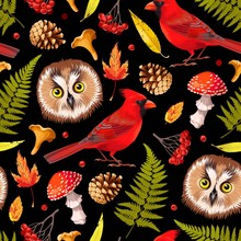 Red Cardinal Seamless Pattern Free Stock Photo - Public Domain Pictures
