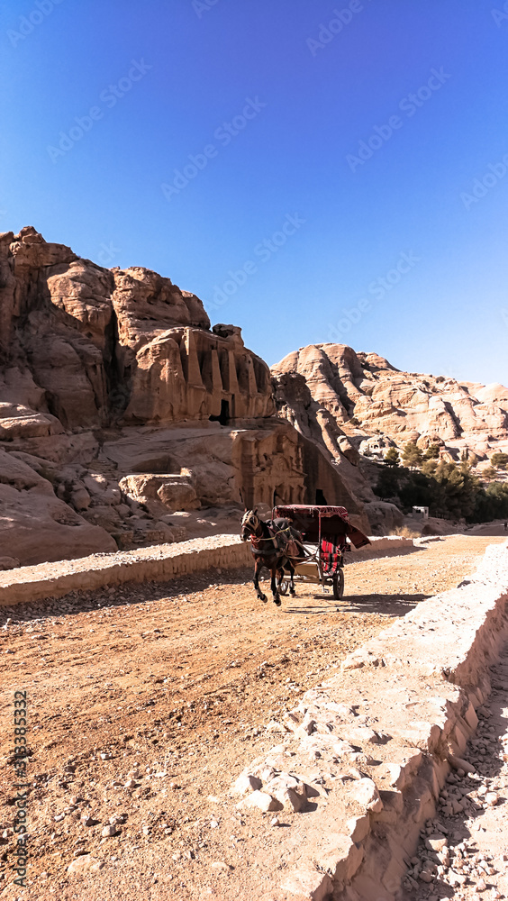 Cart pulled by horse at the special horse route. Bedouin riding in a ...