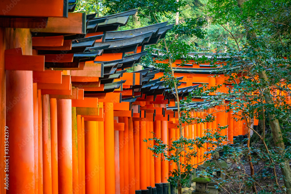 Japan. Temples Of Kyoto. The orange gates of Fushimi Inari Shrine.Torii ...