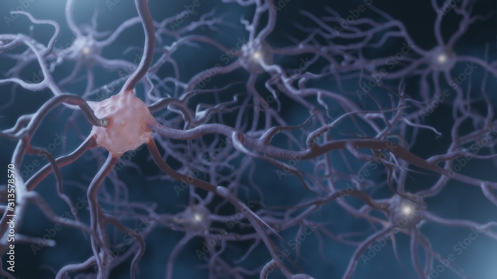 Neuronal and synapse activity. Neurons in the head, neuroactivity ...