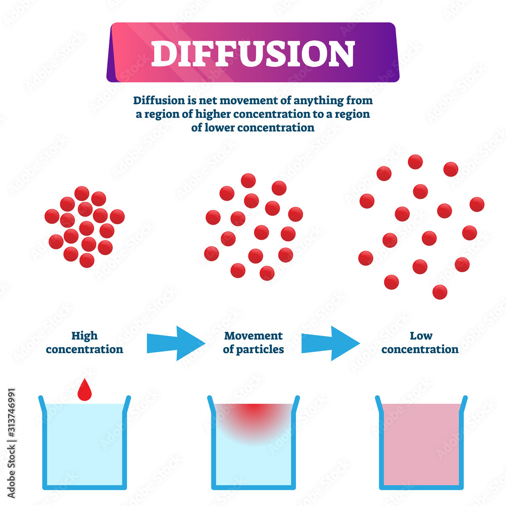 Diffusion vector illustration. Labeled educational particles mixing ...